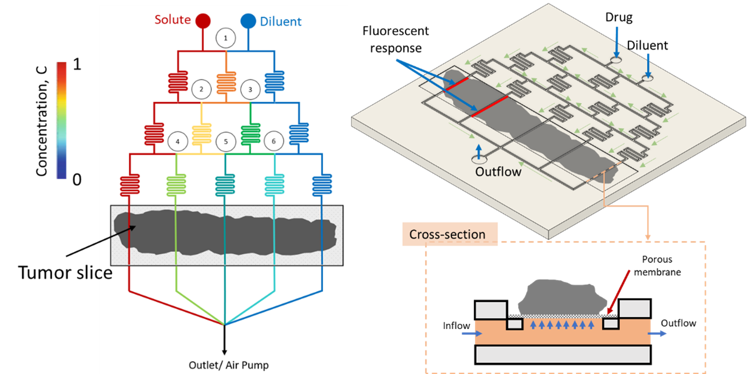 Case study: Prototyping a screening device for anti-cancer drug ...